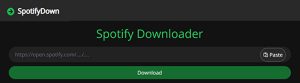 Best Spotify Playlist Downloader Online Free/Mobile/Computer
