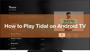 Three Ways to Play Tidal on Android TV