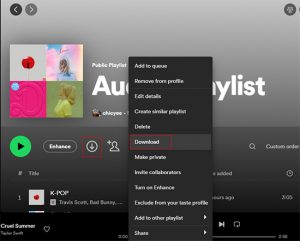 How to Mark a Playlist for Offline Sync on Spotify [Never Miss]