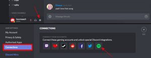 How to Connect Apple Music to Discord with/without Bots