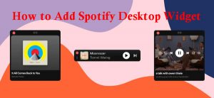 How to Add Spotify Desktop Widget on Mac/Windows [Updated]