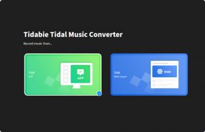 Tidabie Tidal Music Converter Review & Best Alternative